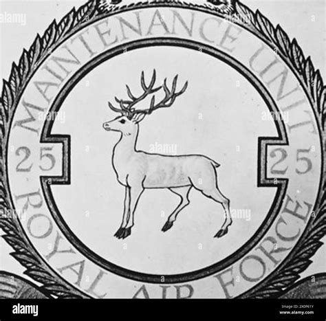 Raf Squadron Badges Squadron No25 Badge Photographic Negative