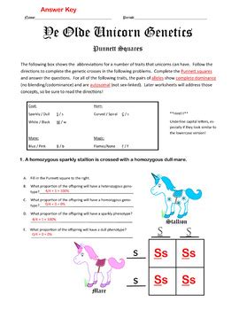 Punnett Squares Punnett Square Mendelian Genetics Activity Punnet