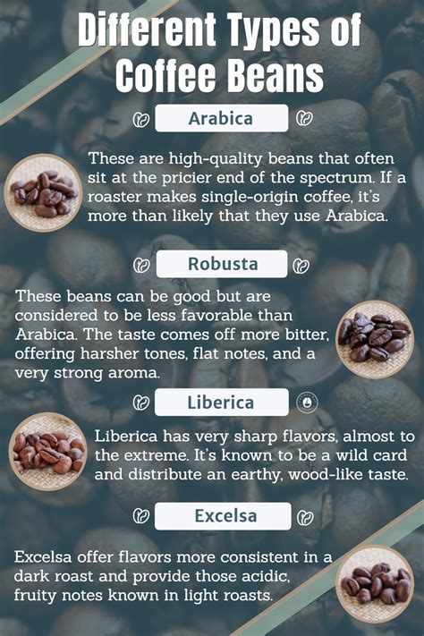 Different Types Of Coffee Beans Arabica Vs Robusta