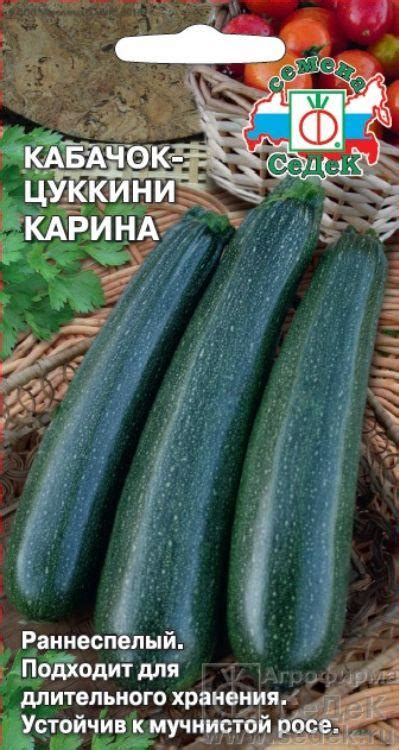 Золотая сотка алтая