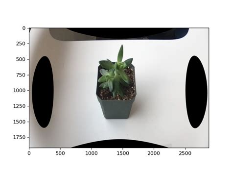Calibrate Camera Plantcv
