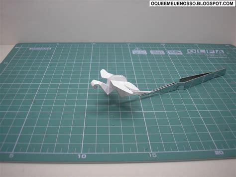 O QUE É MEU É NOSSO Origami Libélula Dragonfly