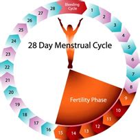 Treatment For Irregular Menses Irregular Periods Santati Test Tube Baby And Fertility Center