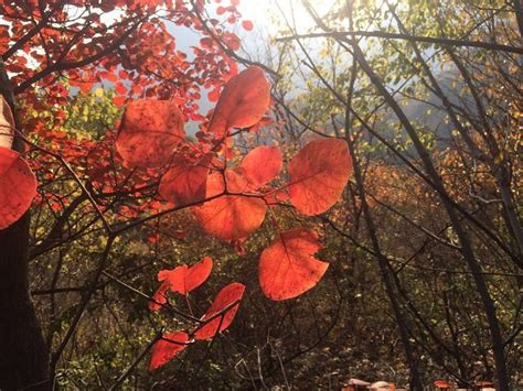 2023白银坨旅游风景区 评论 去哪儿攻略