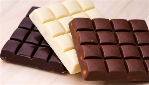 Ten Cuidado 20 Alimentos Que Son Tóxicos Para Los Gatos