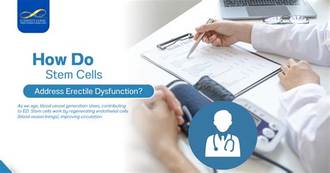 Can Stem Cells Help Treat Erectile Dysfunction