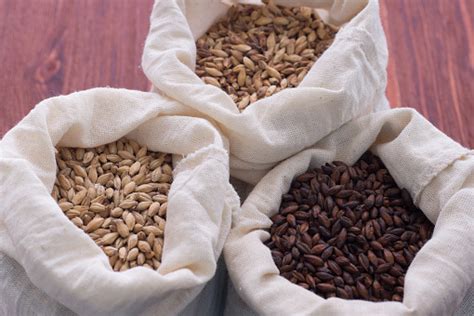 한 봉지에 창백한 카라멜 초콜릿 맥 과정에서 곡물 보 리 맥 아에서 양조 하는 크 래 프 트 맥주 맥주 또는 창백 하거나 어두운 필스너 몰 트에서 라 거 나무 배경 Ale에