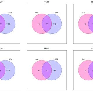 Enrichment Analysis For GO BP GO CC GO MF And KEGG GO BP
