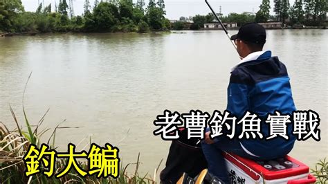 老曹户外实战针对鳊鱼你有什么好钓法户外老曹 YouTube