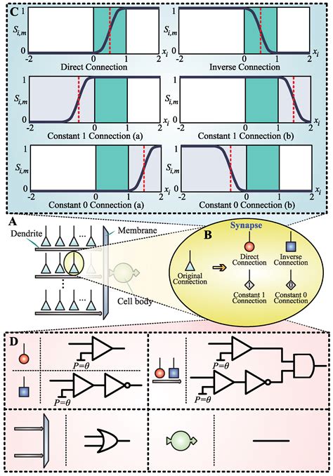 a hardware based orientation detection system using dendritic computation