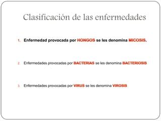 Clasificación De Las Enfermedades 2° Parte Hongos Ac Y Su Enfermedad Pdf