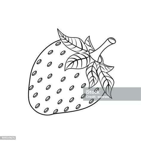 草莓黑色輪廓向量圖形及更多一個物體圖片 一個物體 健康的生活方式 健康飲食 Istock