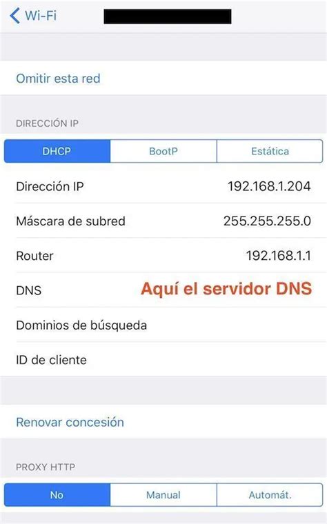 Cómo cambiar los servidores DNS en iOS