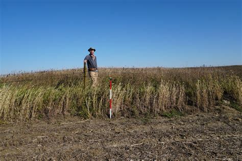 Revolutionary Research Insider Issue Iii