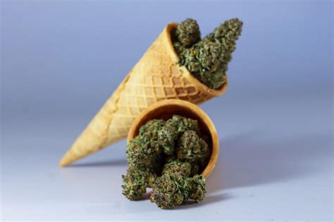 Best Exotic Weed Strains In 2023 List Benefits Effects And Grow Tips