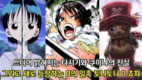 원피스 2가지 떡밥 분석 드디어 밝혀지는 타시기와 쿠이나의 진실 그리고 새로 등장하는 D의 일족 토니토니 D 쵸파 Youtube