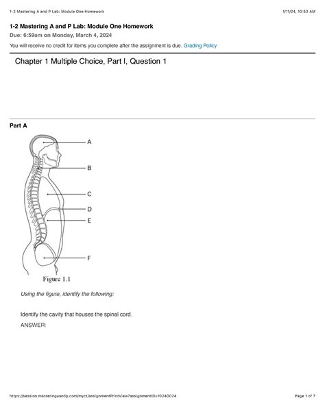 1 2 Mastering A And P Lab Module One Homework Grading Policy Chapter