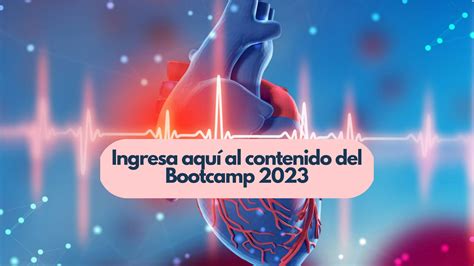 bootcamp ac 2023 contenido academia cardiovascular
