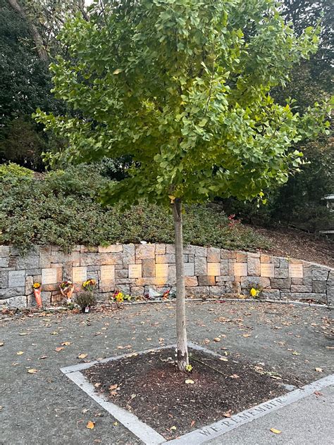 Proctors Ledge In Salem Atlas Obscura
