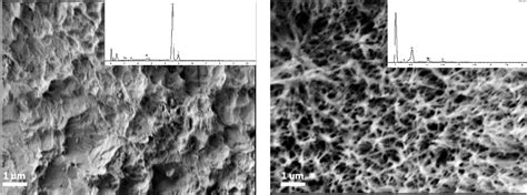 Figure 2 From Enhanced Osteoconductivity On Electrically Charged