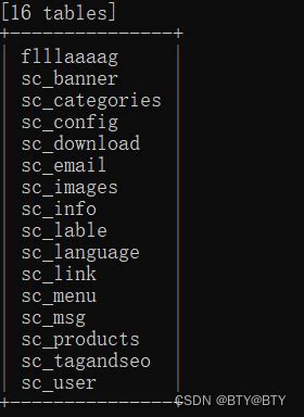 CVE 2023 50563sql延时注入 CSDN博客