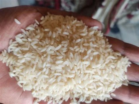 Sona Mansuri Steam Rice Packaging Type Pp Bag Packaging Size 1 Kg At Rs 27 Kg In Ranchi