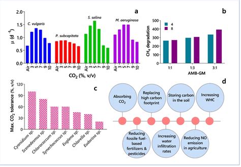 A Specific Growth Rates Of Microalgae Chlorella Vulgaris And
