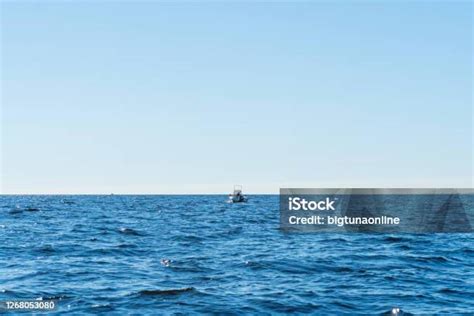 푸른 바다에서 보트에 어부 낚시 보트와 아름다운 바다 풍경 낚시꾼과 낚시 모터 보트 바다 바다 물결 반사 바다에서 모터 보트 0명에 대한 스톡 사진 및 기타 이미지 Istock