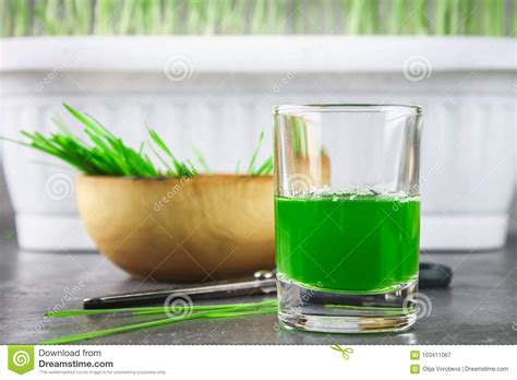 Wheatgrass Shot Juice From Wheat Grass Trend Of Health Stock Image