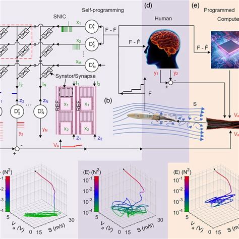 A A Schematic Of An Snic A Neural Network Composed Of M×n Synstors Download Scientific