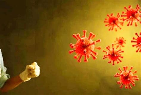 Bf 7 Is Omicron With Mutations Wont Lead To Severe Disease Experts