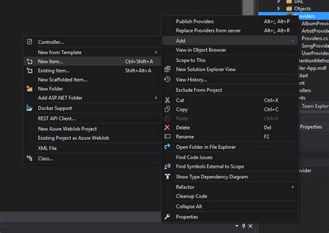 c can only add database text file or xml file to project