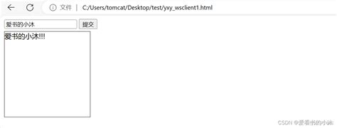【小沐学前端】基于protobuf协议的websocket通信（javascripthtml）爱看书的小沐的技术博客51cto博客