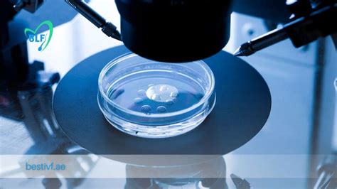 Intracytoplasmic Sperm Injection Icsi Treatment When Is It The