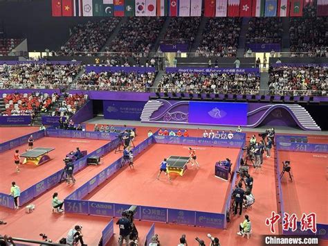国乒晋级杭州亚运会女团决赛中国队王昊新闻网