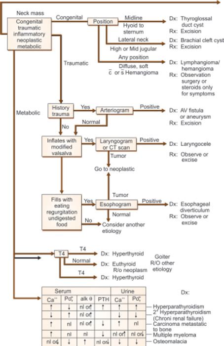 Neck Mass Differential