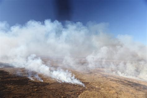 Incendios En El Delta Del Paraná Ambiente Presentó Una Cautelar A La