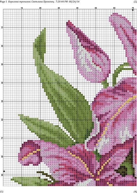 Orchidee A Punto Croce Schema Free Schemi E Idee Per Punto Croce