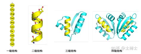 专业解析：2024年诺贝尔化学奖（蛋白质结构预测） 知乎