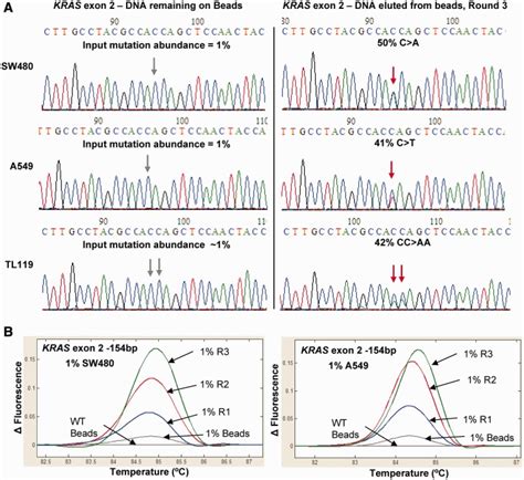 Kras Mutation Enrichment Kras Exon 2 Enrichment Following Three Rounds