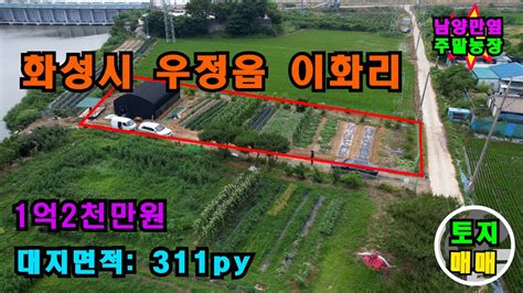 👍남양만바로앞 주말농장 ️저렴한 농지평당가39만원 ️초급매 화성시 우정읍 이화리 1억2천만원 ️매물번호774 Youtube