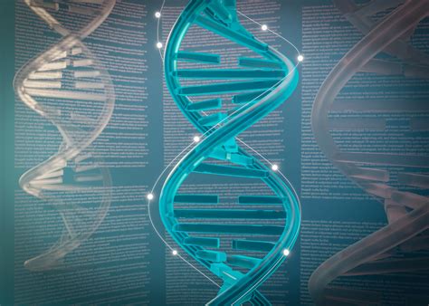 Gilando Biomedical Solution Plc Medical Equipment And Supplies In Ethiopia