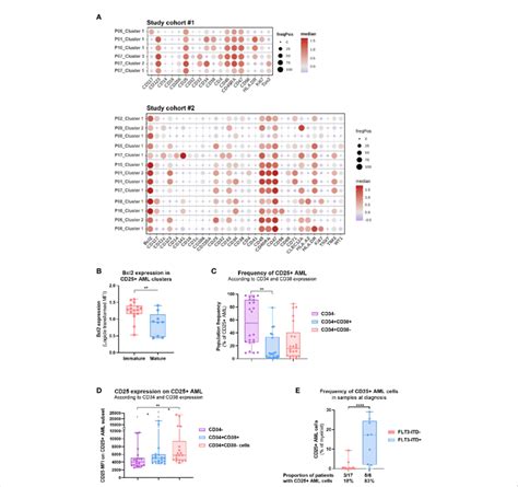 Patient Centric Approach Allows The Phenotypic Analysis Of Cd25 Aml