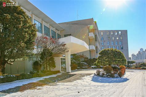 [캠퍼스 풍경] 극심한 한파가 지나가고 날이 풀리고 서강대학교 Sogang University