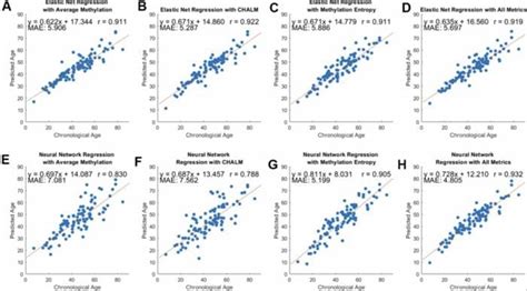 Dna Methylation Entropy Can Be Used To Track Aging Clinical Lab Products