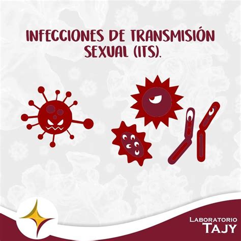 Las Infecciones De Transmisión Sexual Laboratorio Tajy