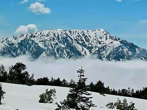[chinese And English Service] Tateyama Kurobe Snow Wall Day Tour