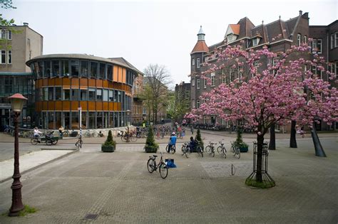 University Of Amsterdam Uva
