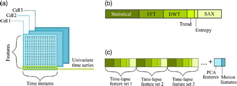 Overview Of The Time Lapse Feature Extraction Process A Each Cell Is Download Scientific