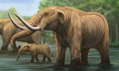 Mastodon On Tumblr